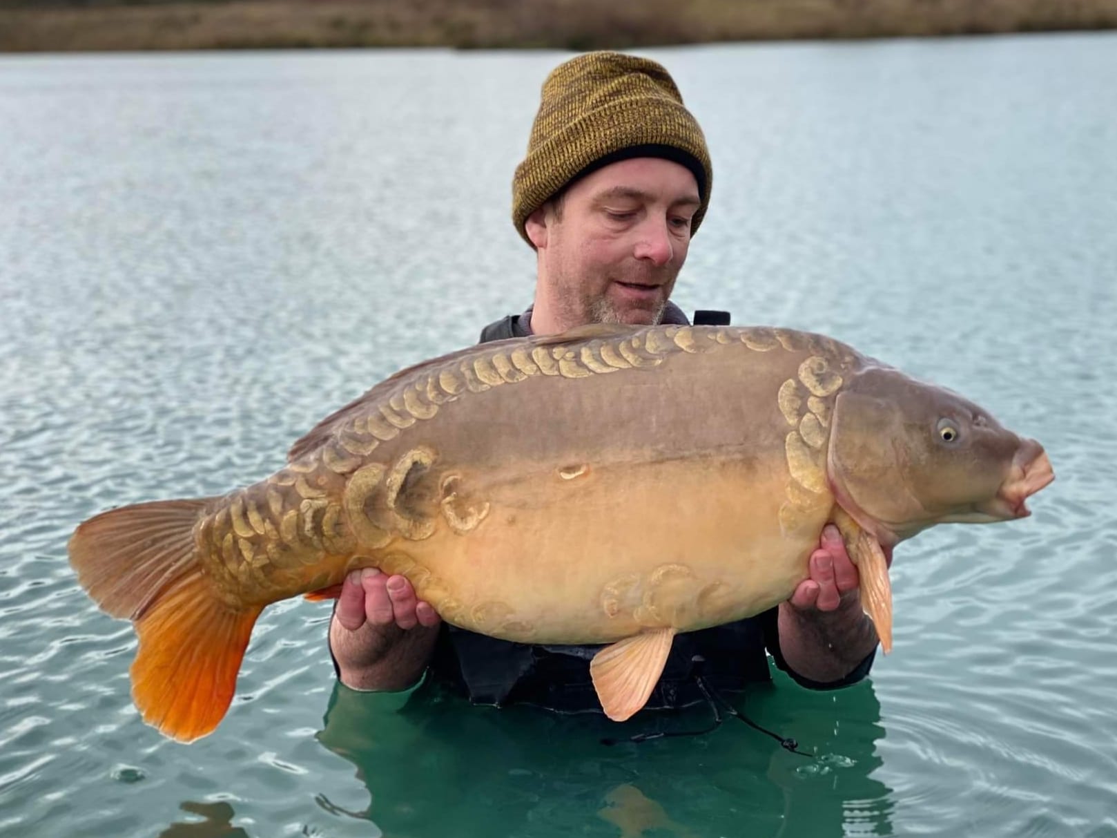 New pb | Total Carp